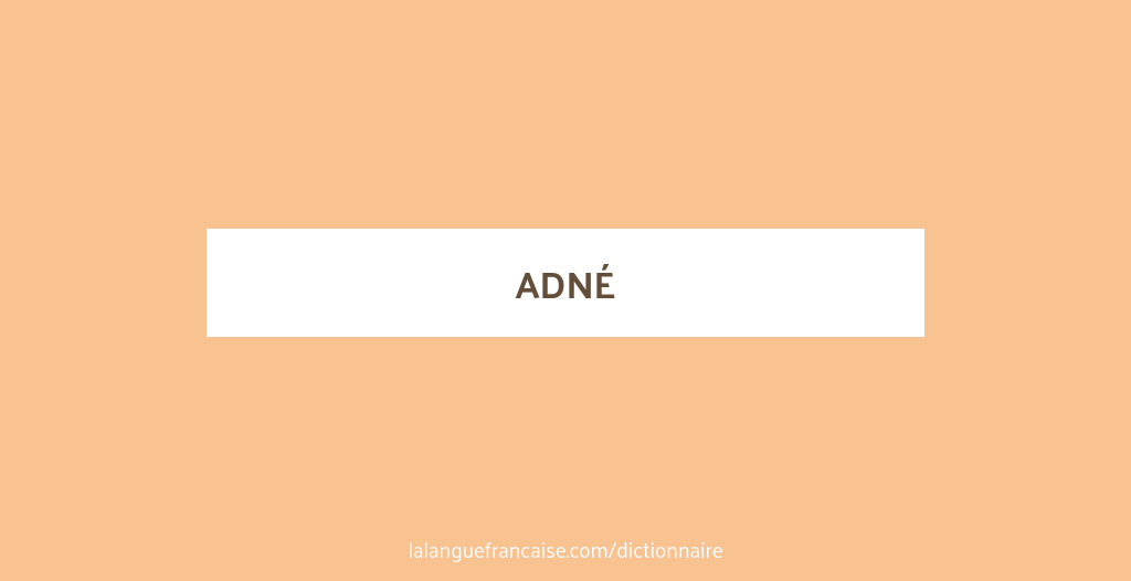 Définition de adné | Dictionnaire français