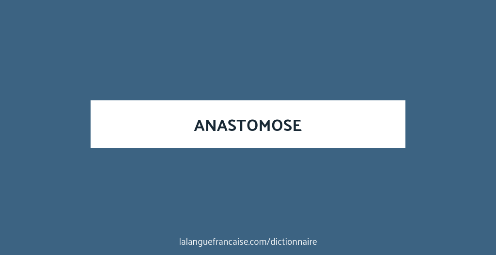 Définition de anastomose | Dictionnaire français