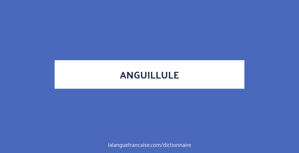 Définition de anguillule | Dictionnaire français