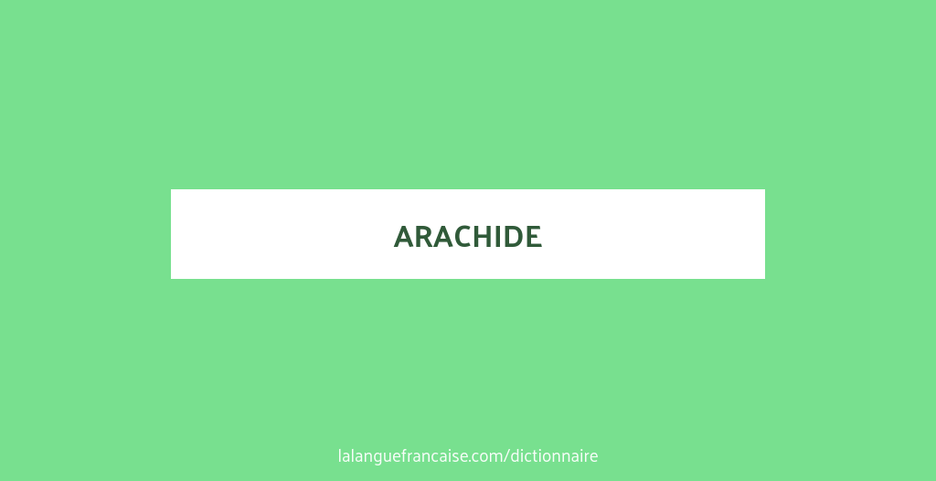 Définition de arachide | Dictionnaire français