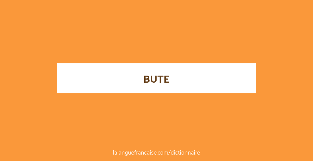 Définition de bute | Dictionnaire français