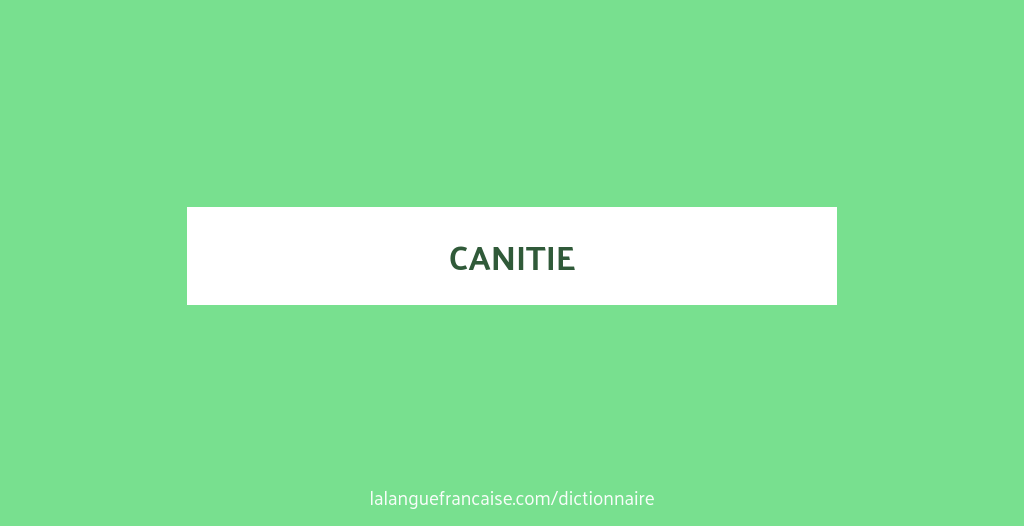 Définition de canitie | Dictionnaire français