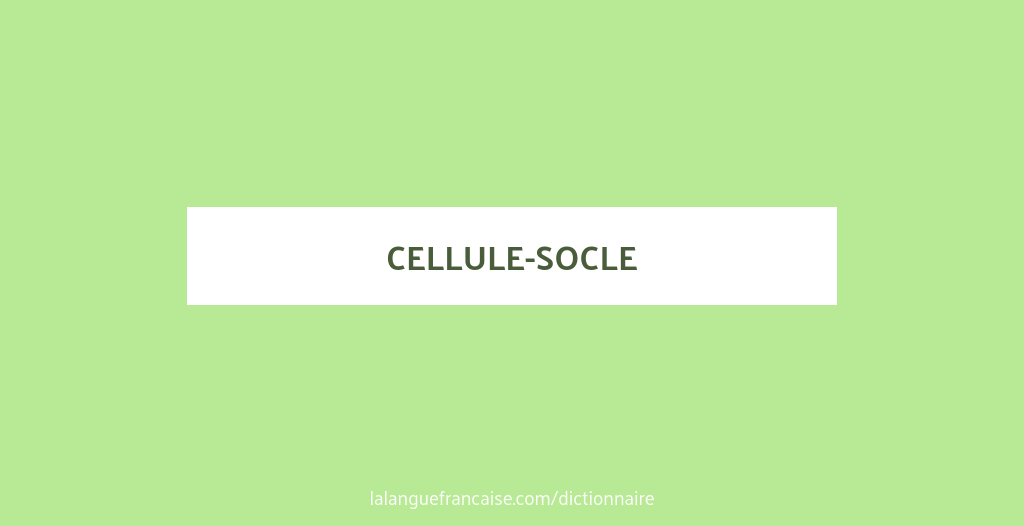Définition de cellule-socle | Dictionnaire français