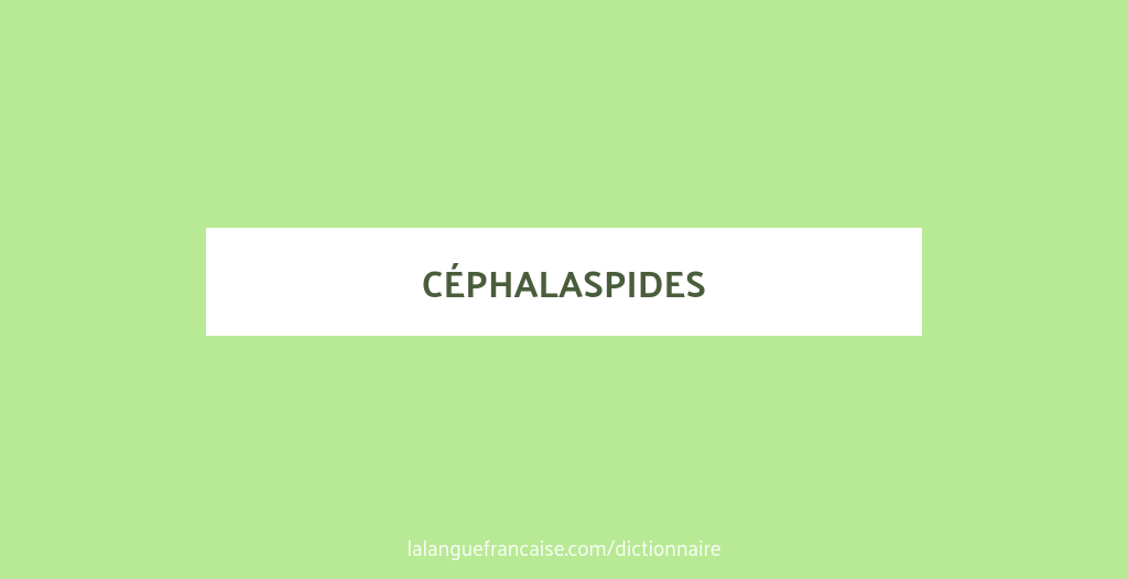 Définition de céphalaspides | Dictionnaire français