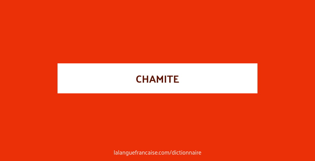 Définition de chamite | Dictionnaire français