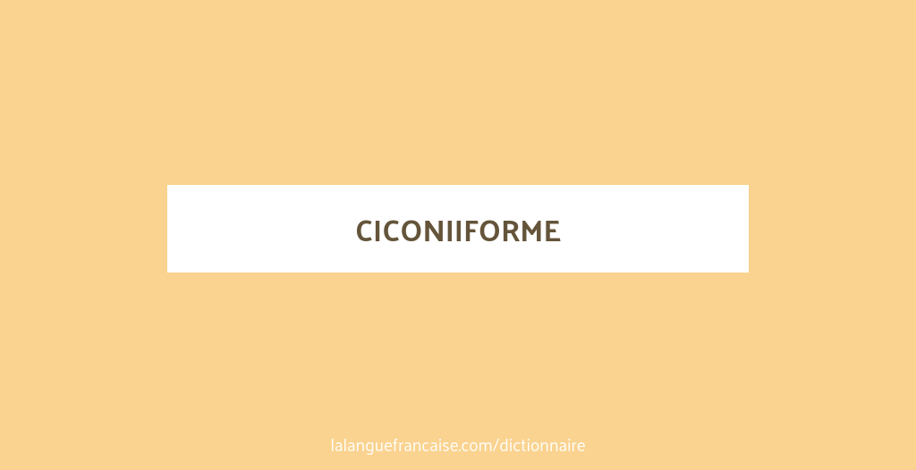 Définition de ciconiiforme | Dictionnaire français