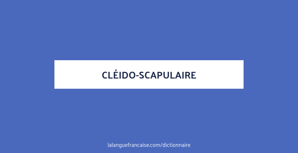 Définition de cléido-scapulaire | Dictionnaire français
