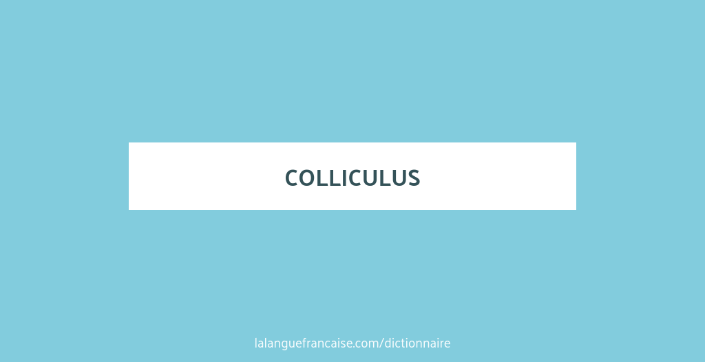 Définition de colliculus | Dictionnaire français