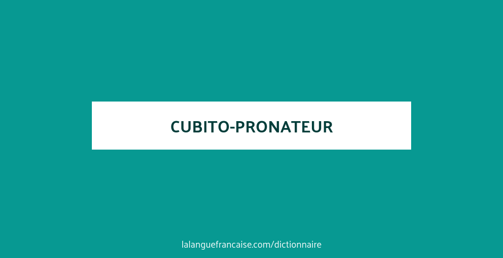 Définition de cubito-pronateur | Dictionnaire français