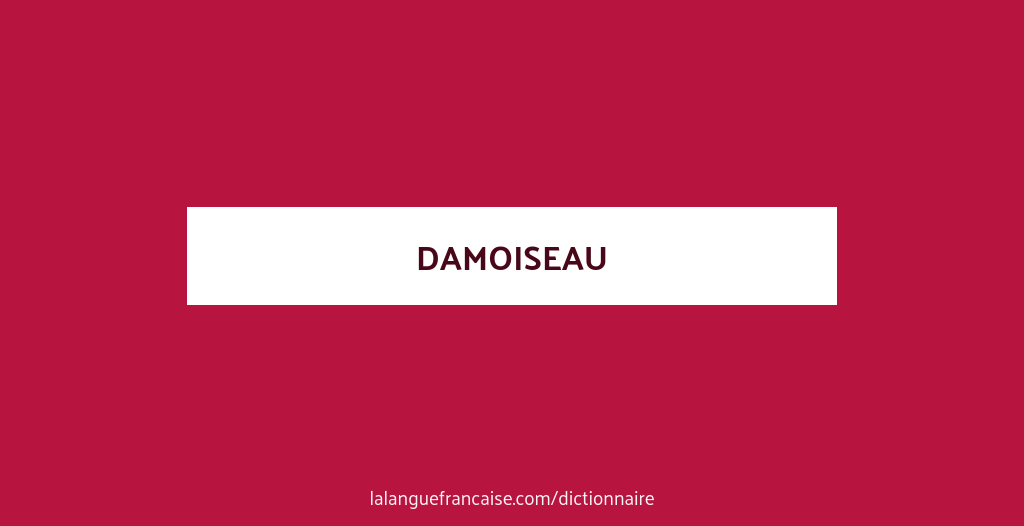 Définition de damoiseau | Dictionnaire français