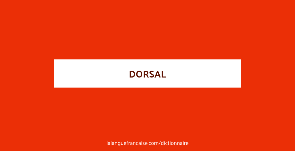 Définition de dorsal | Dictionnaire français