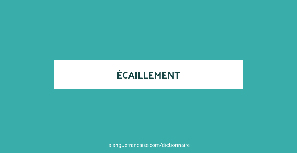 Définition de écaillement | Dictionnaire français