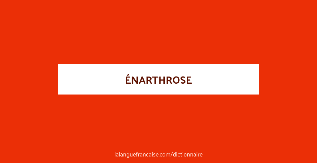 Définition de énarthrose | Dictionnaire français