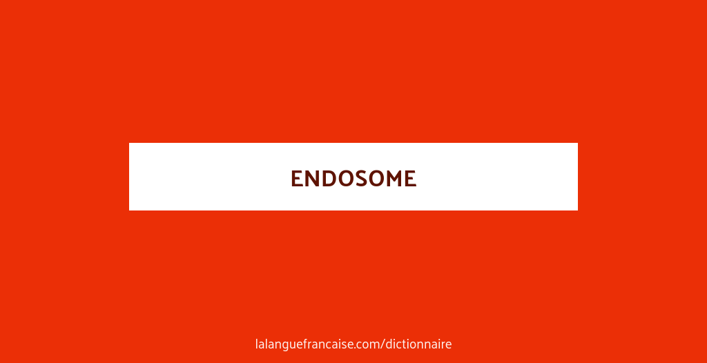 Définition de endosome | Dictionnaire français