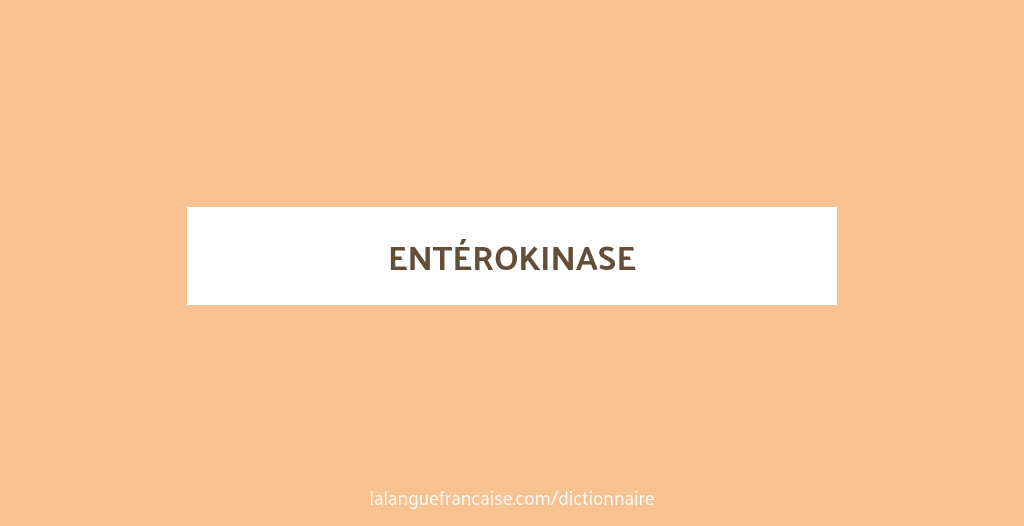 Définition de entérokinase | Dictionnaire français