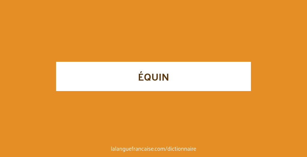 Définition de équin | Dictionnaire français