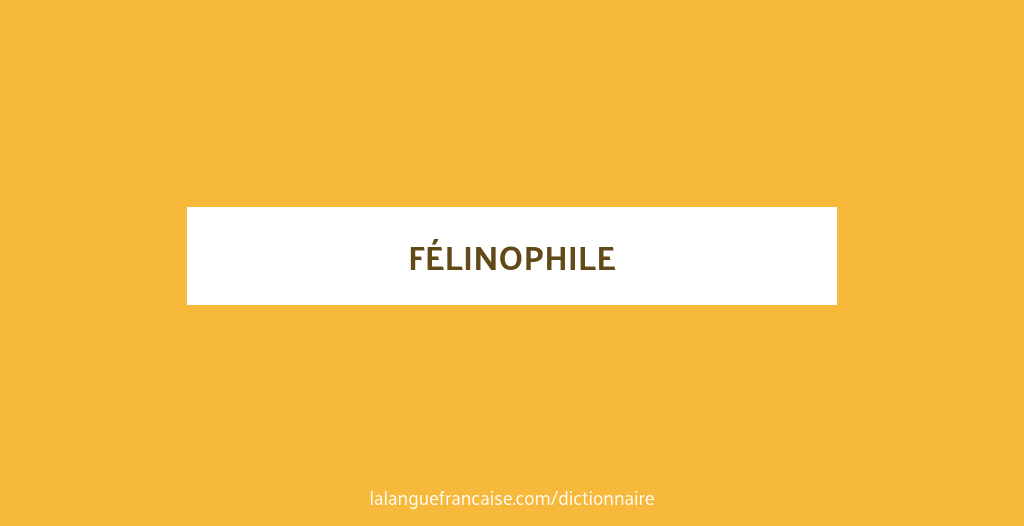 Définition de félinophile | Dictionnaire français