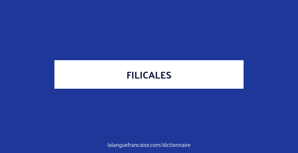 Définition de filicales | Dictionnaire français
