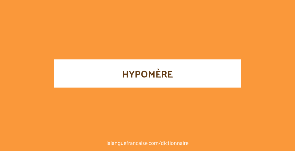 Définition de hypomère | Dictionnaire français