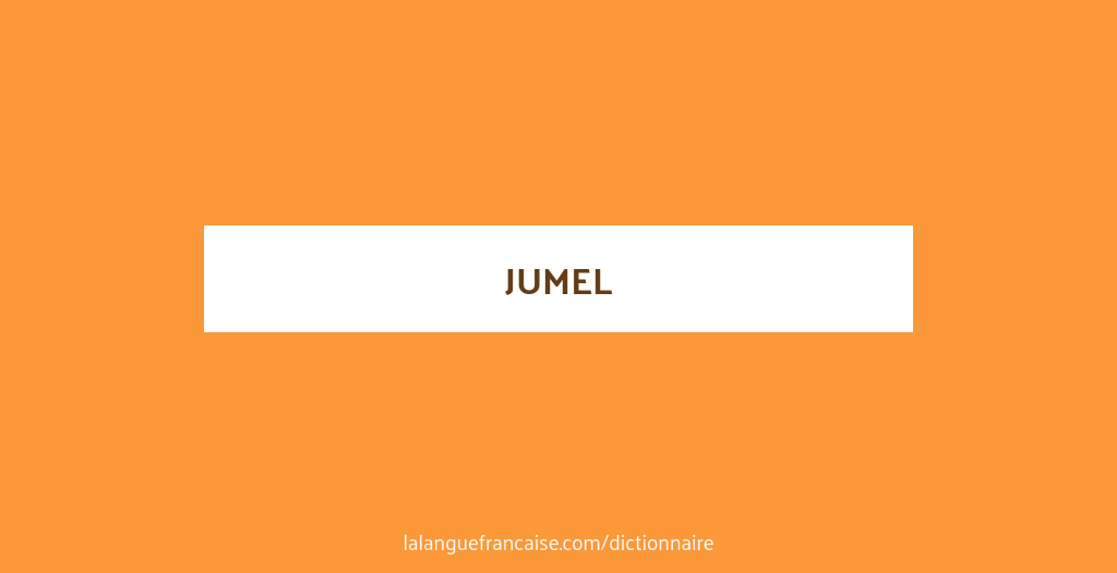 Définition de jumel | Dictionnaire français