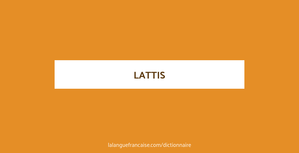 Définition de lattis | Dictionnaire français