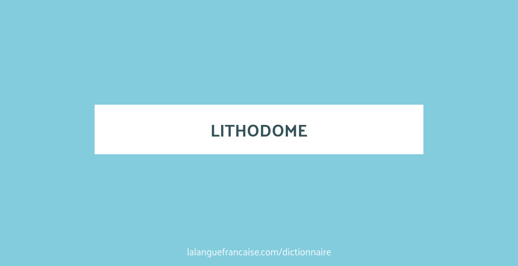 Définition de lithodome | Dictionnaire français
