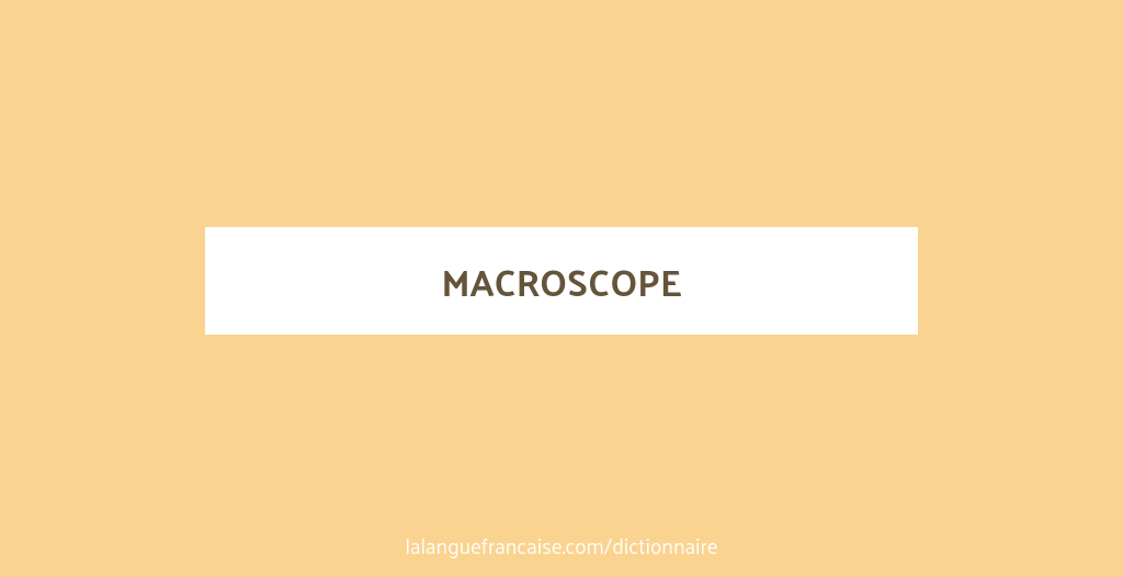 Définition de macroscope | Dictionnaire français