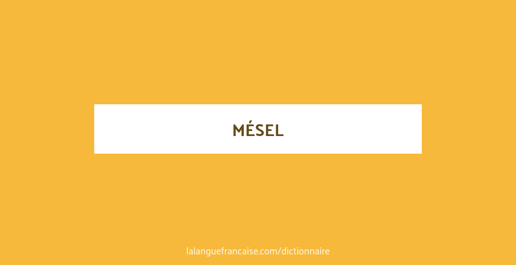 Définition de mésel | Dictionnaire français