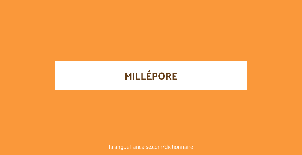 Définition de millépore | Dictionnaire français