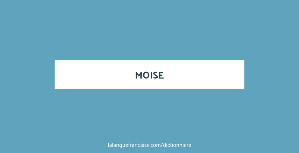 Définition de moise | Dictionnaire français