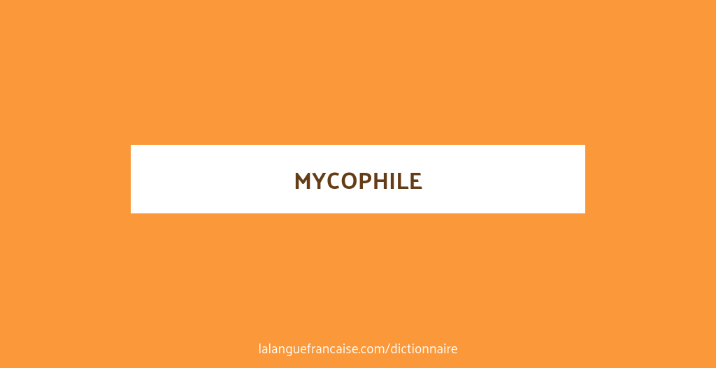 Définition de mycophile | Dictionnaire français