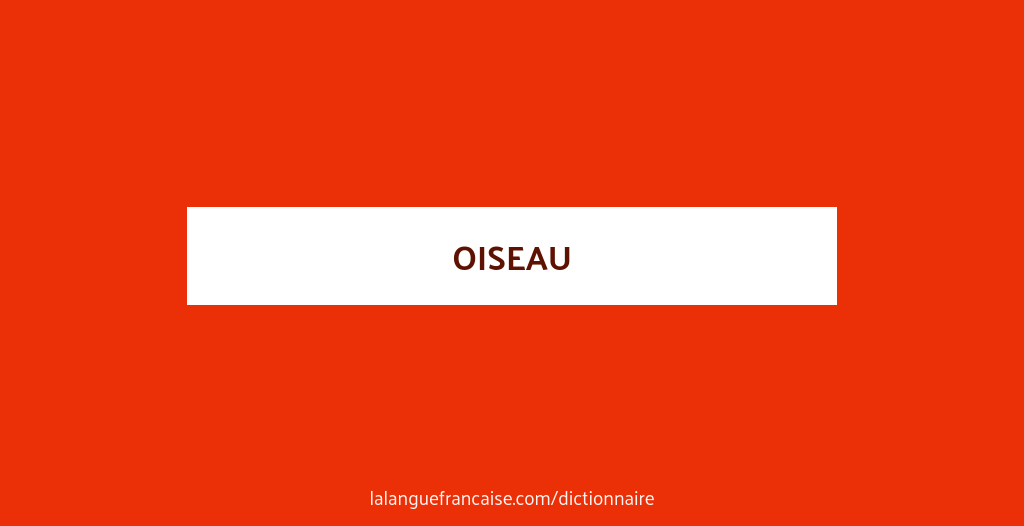 Définition de oiseau | Dictionnaire français