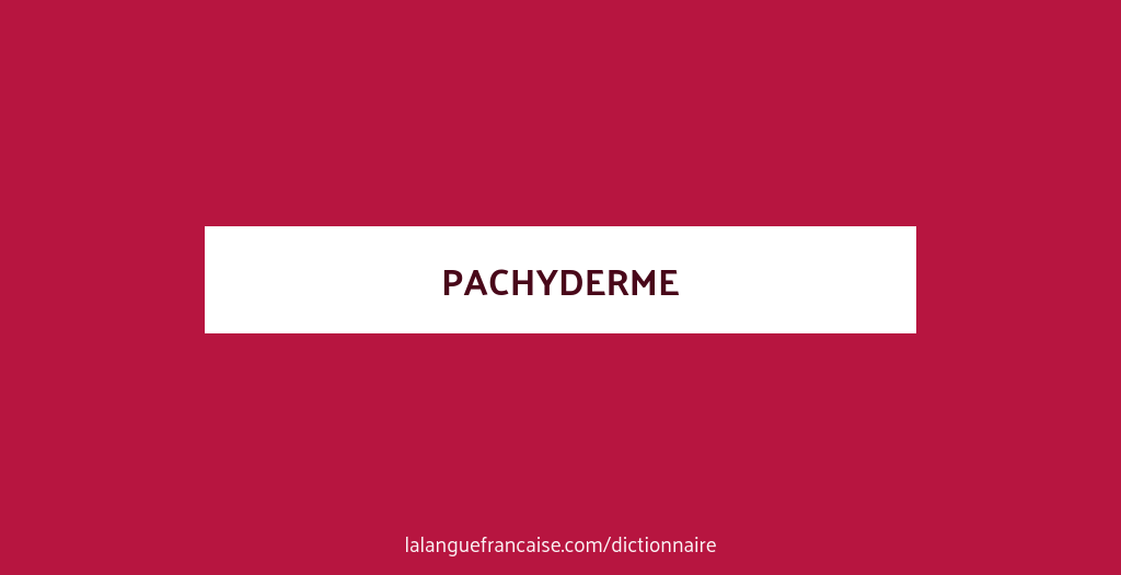 Définition de pachyderme | Dictionnaire français