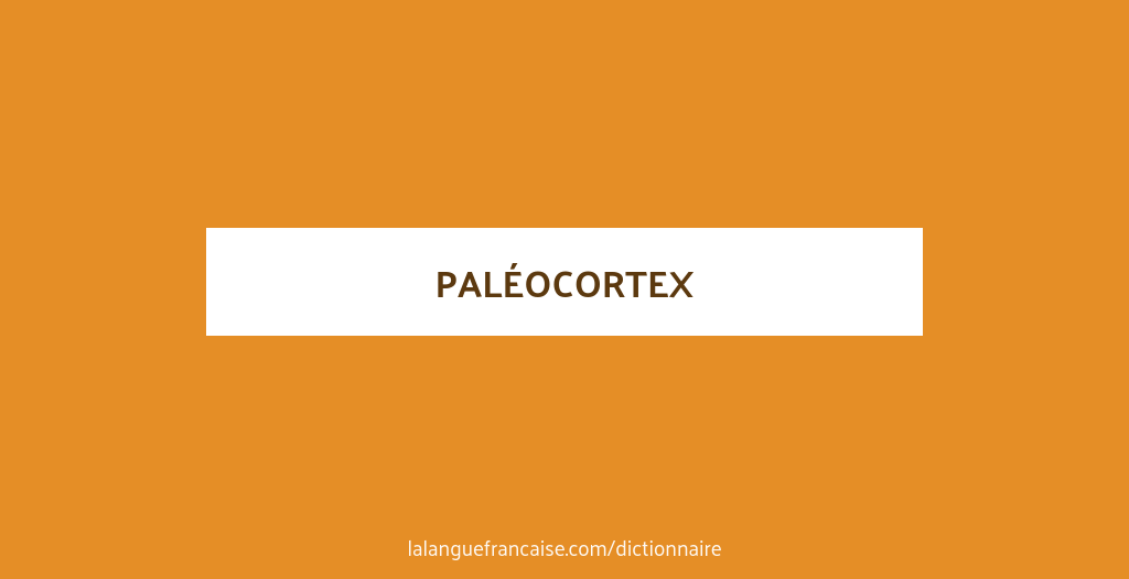 Définition de paléocortex | Dictionnaire français