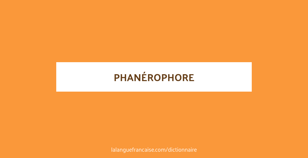 Définition de phanérophore | Dictionnaire français