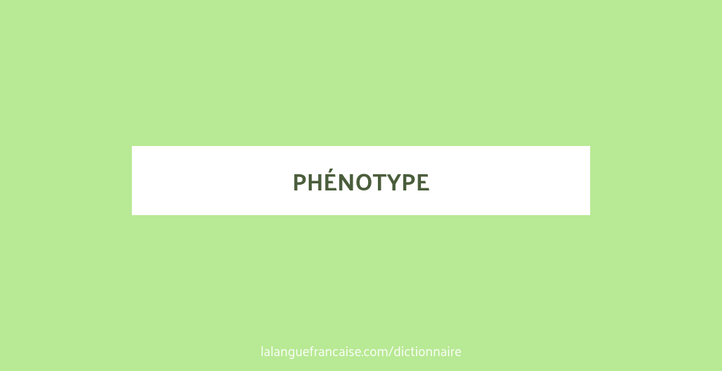 Définition de phénotype | Dictionnaire français