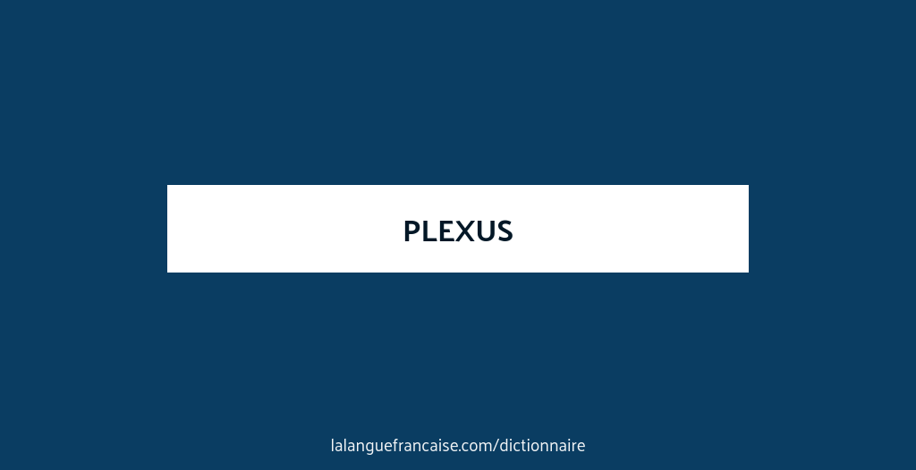Définition de plexus | Dictionnaire français