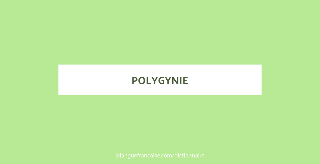 Définition de polygynie | Dictionnaire français