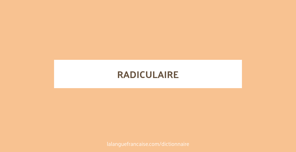 Définition de radiculaire | Dictionnaire français