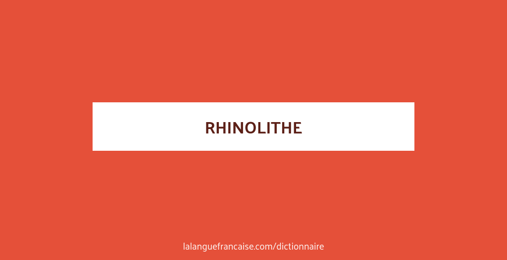 Définition de rhinolithe | Dictionnaire français