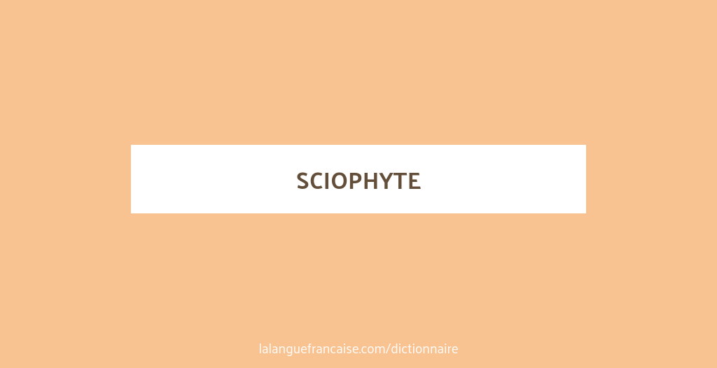 Définition de sciophyte | Dictionnaire français