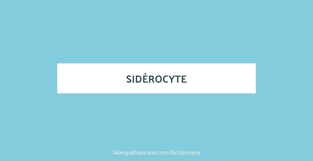 Définition de sidérocyte | Dictionnaire français