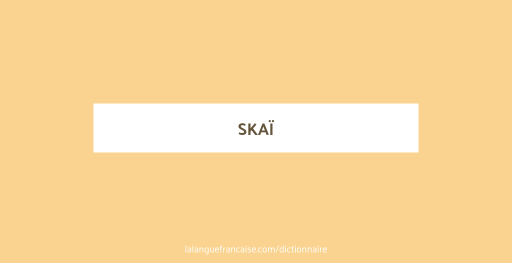 Définition de skaï | Dictionnaire français