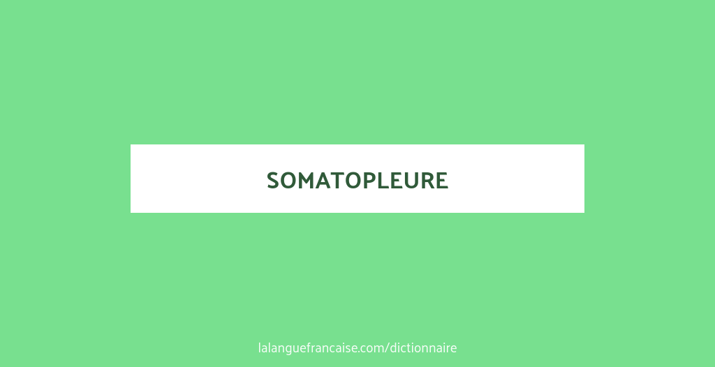 Définition de somatopleure | Dictionnaire français