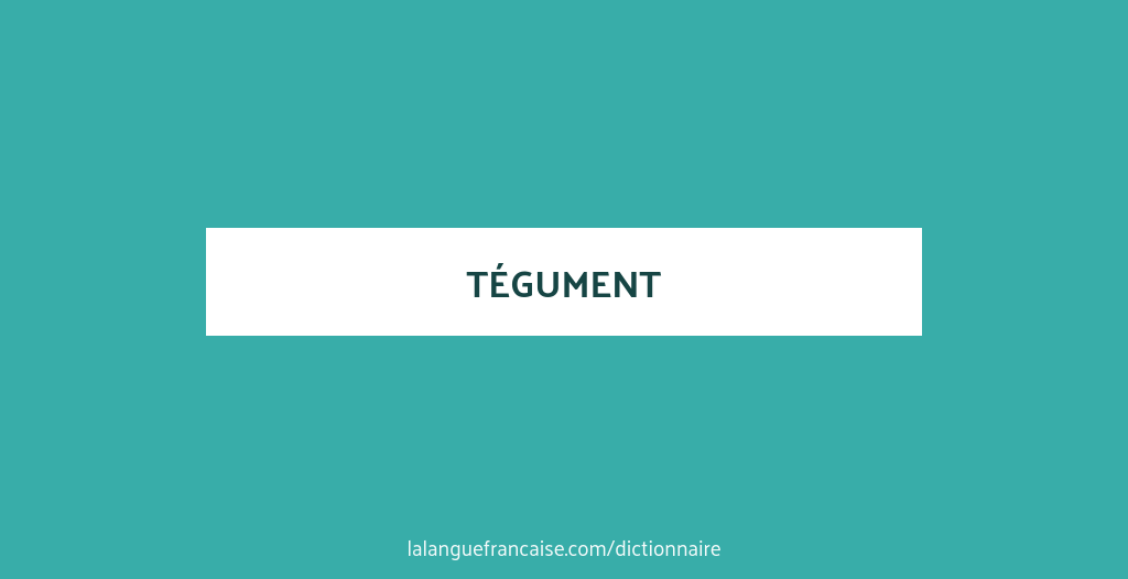 Définition de tégument | Dictionnaire français